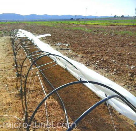 Galería Micro Tunel - Micro Tunel